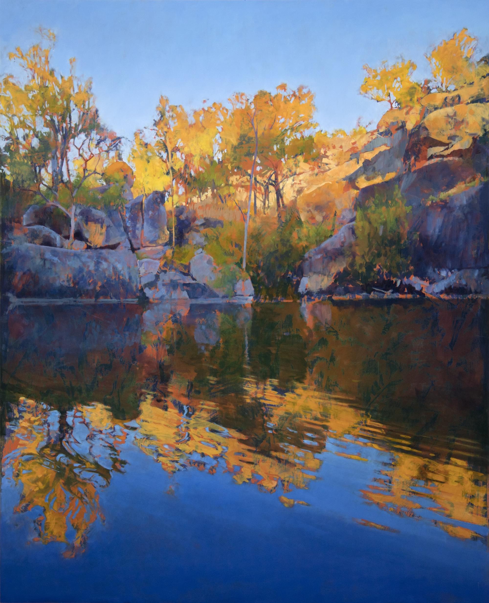 Afternoon Reflection, Coomba Waterhole